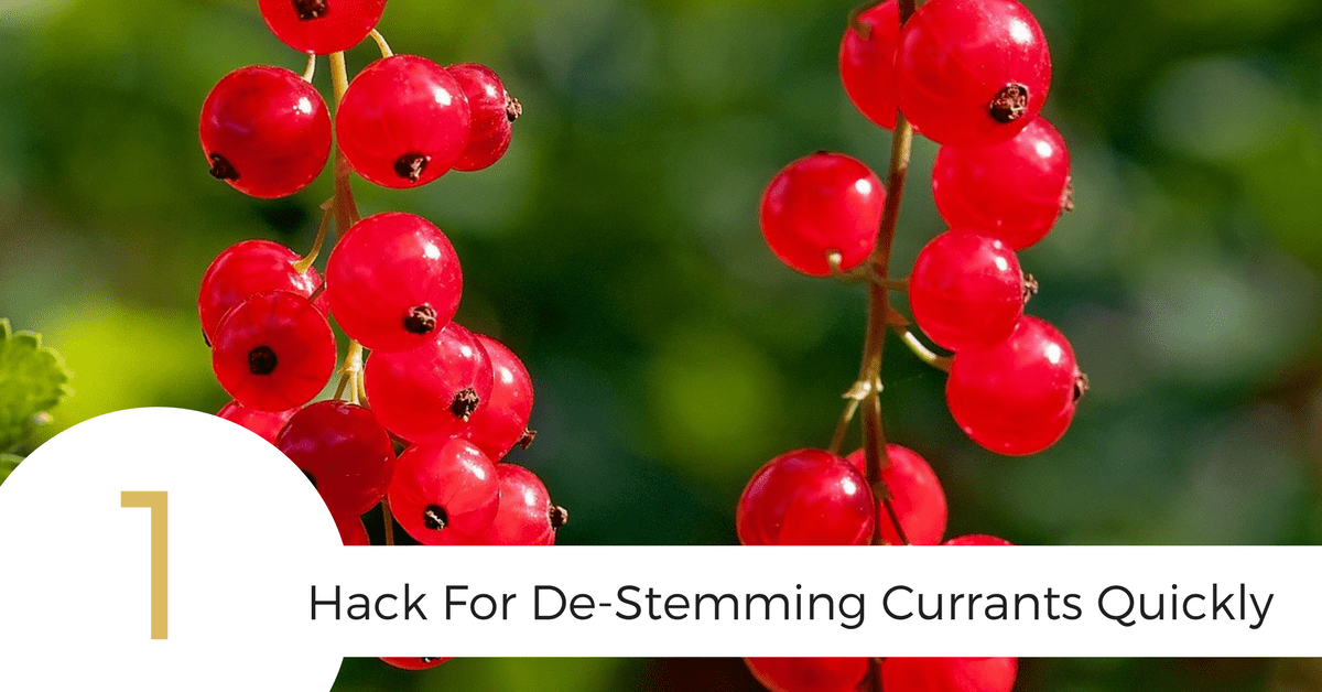 How To De-Stem Currants Quickly + Helpful GIF - Food Above Gold